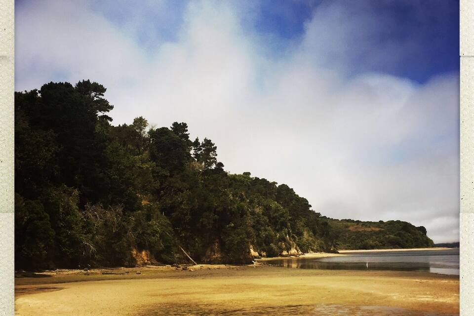 Uma praia com areal, águas calmas e uma colina arborizada ao fundo.