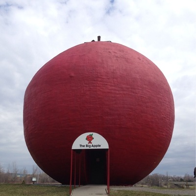 Best apple pie ever!!! Everything to do with apples.
A tourist with the Big Apple
The Big Apple is a bakery, restaurant and roadside attraction in the community of Colborne, part of the municipality of Cramahe, Northumberland County in Central Ontario, Canada. It just off Ontario Highway 401 at interchange 497 (Northumberland County Road 25/Percy Street) and is recognizable from the highway because of what it claims is the world's largest apple.
With a height of 10.7 metres (35 ft) and diameter of 11.6 metres (38 ft), the Big Apple features an observation deck.
The site also features a petting zoo and other amenities.