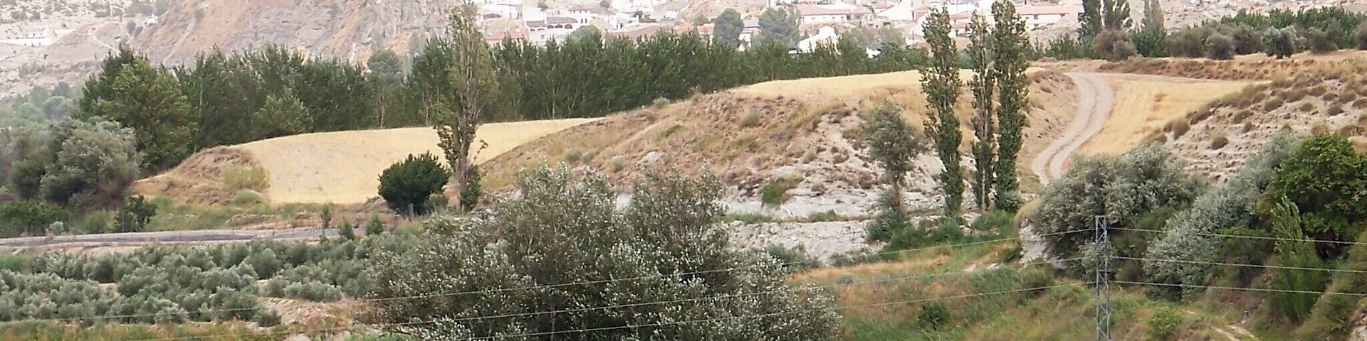 Vista de Benamaurel desde Huerta Real, con la vega del río Guardal.