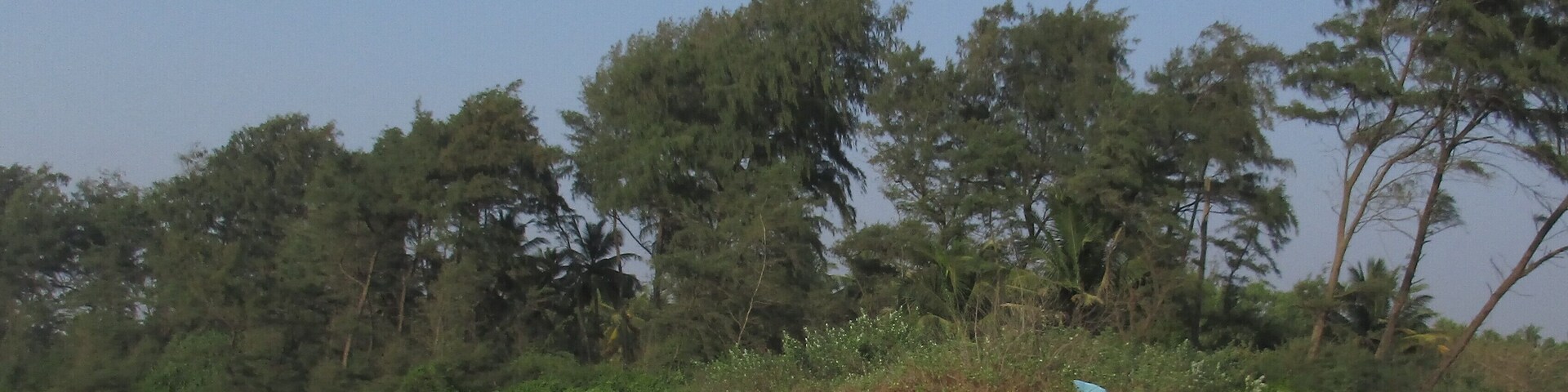 This was in January. The weather was cool and there were miles and miles of area like this.