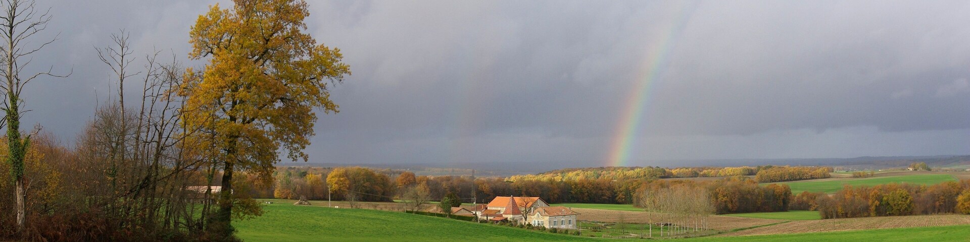 Farmhouse of Charriaud and woods of Labrousse, seen from D 137, Saint-Romain, Charente, France.