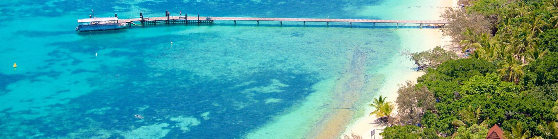 New Caledonia which includes colorful reefs and a beach