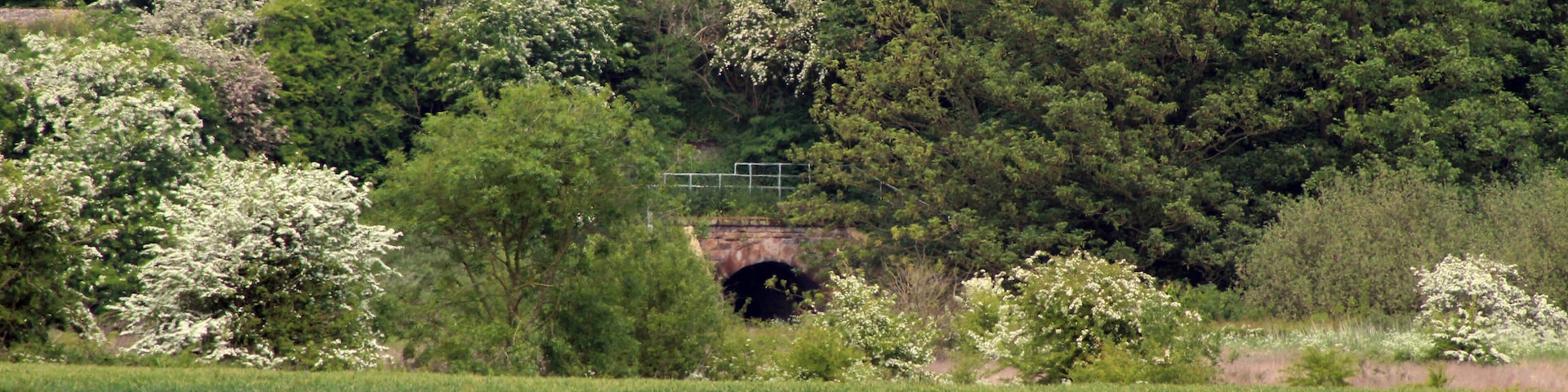 View across the fields from Lower Road; at the time I thought this was the nearest I'd be able to get.