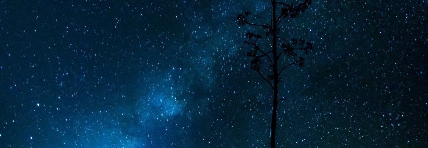 This is my most epic self-portrait, so far:
Contemplating the Milky Way, standing all alone on top of El Henequén—one of the many ancient mayan temples you'll find along the way to El Mirador—surrounded by monkeys, fireflies and an ocean of trees. 
No wonder why our ancestors looked up into the sky and thought of mighty gods.