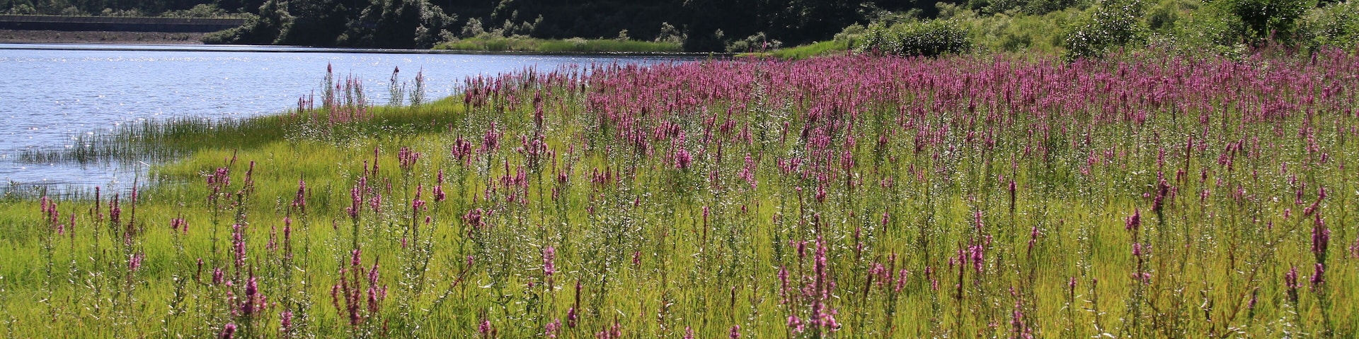 Hibara, Kitashiobara, Yama District, Fukushima Prefecture 966-0400, Japan