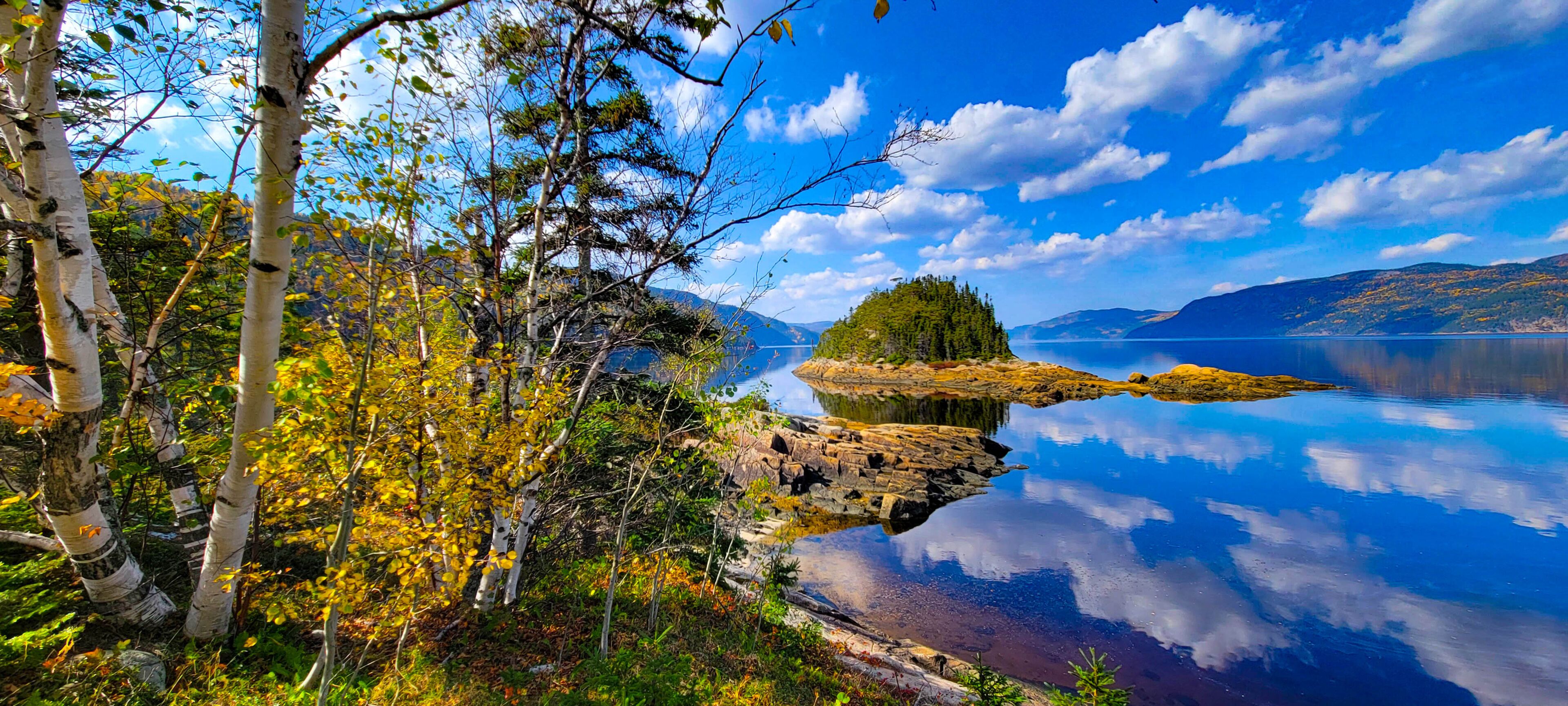 Um lago sereno com uma ilha rochosa, bétulas e um céu azul límpido.