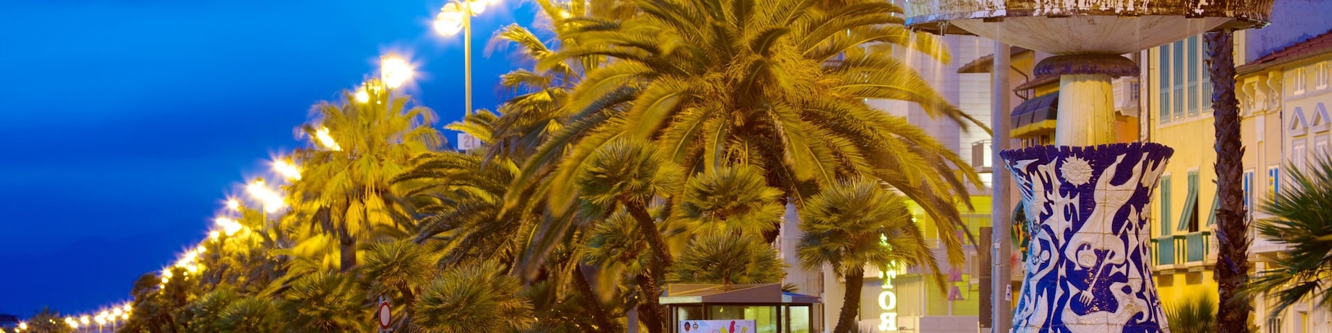Viareggio which includes tropical scenes, street scenes and night scenes
