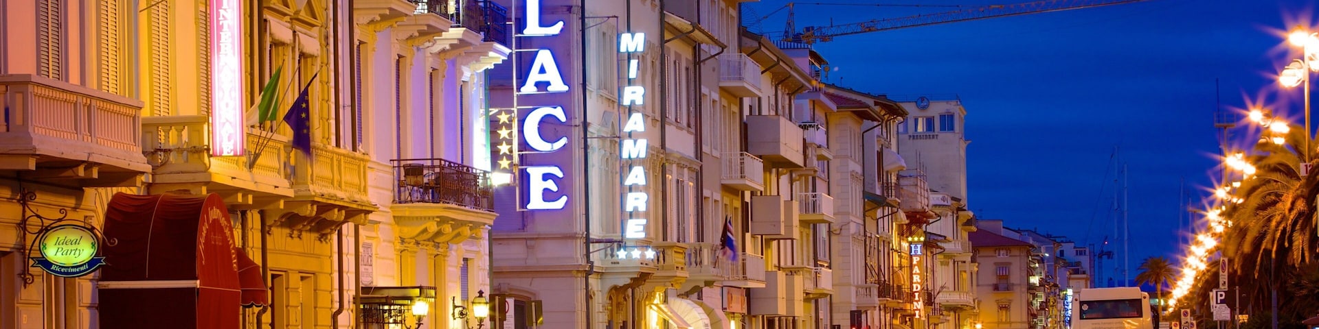 Passeggiata di Viareggio que inclui sinalização, cenas de rua e cenas noturnas