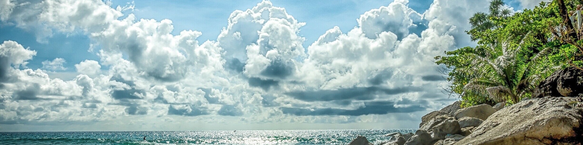 Uma praia com ondas, rochas e uma árvore.