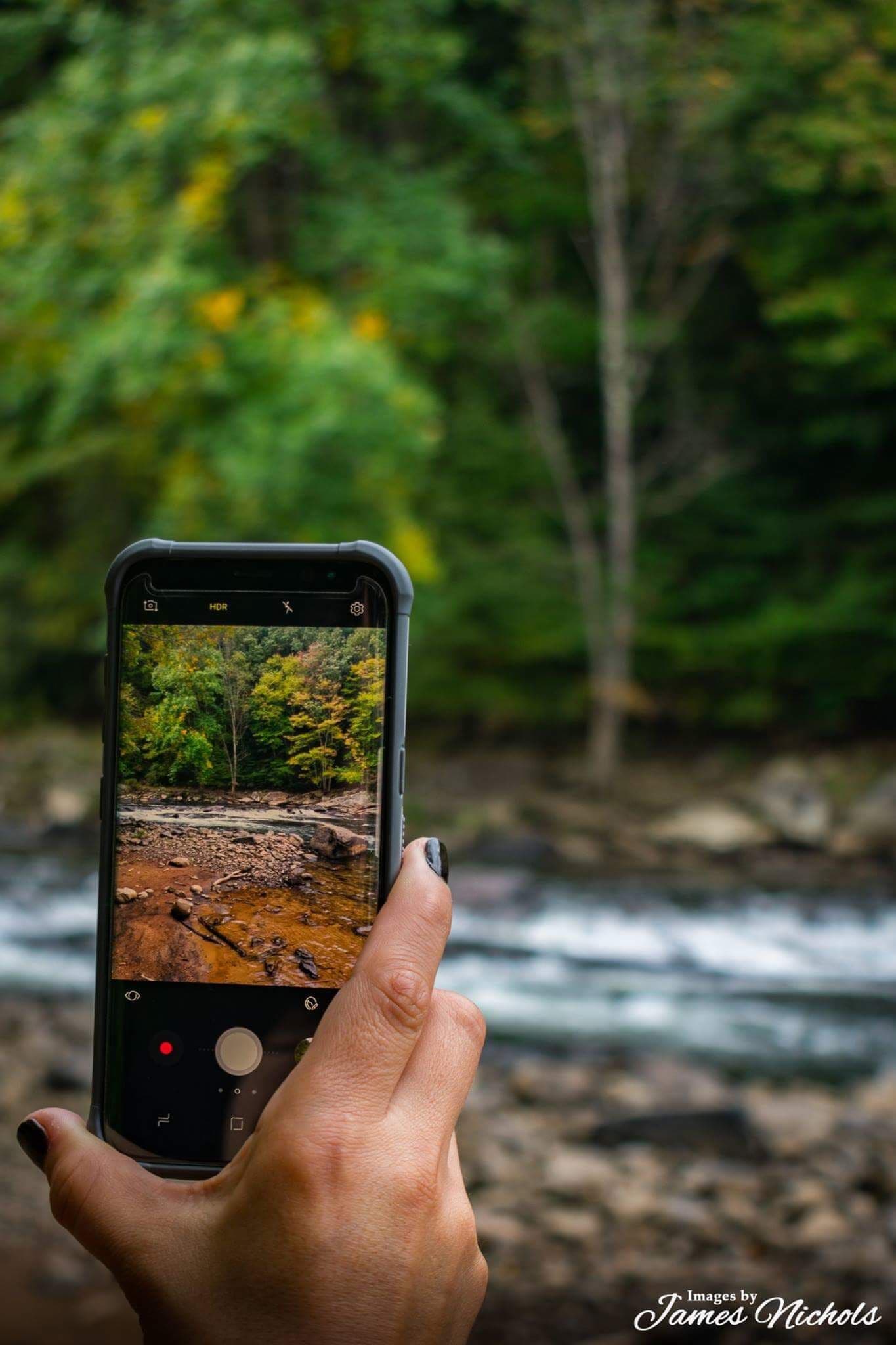 Mão segurando um smartphone com aplicativo de câmera aberto, mostrando uma área arborizada com um riacho.