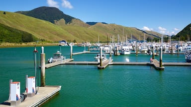 Uma marina com barcos atracados, rodeada por colinas verdes e um céu claro.