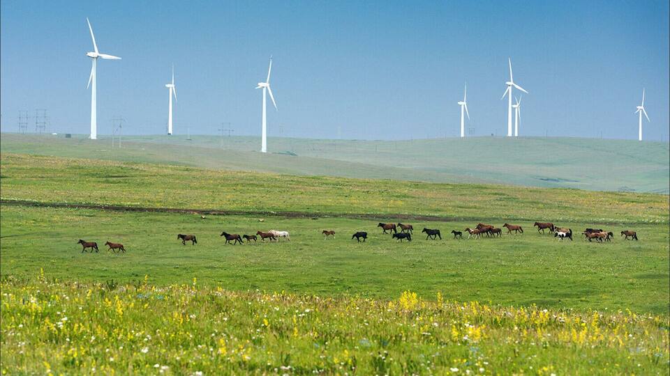 Summer to the #Wulanchabu Grassland of Inner Mongolia,China.
https://twitter.com/Beautifulgx