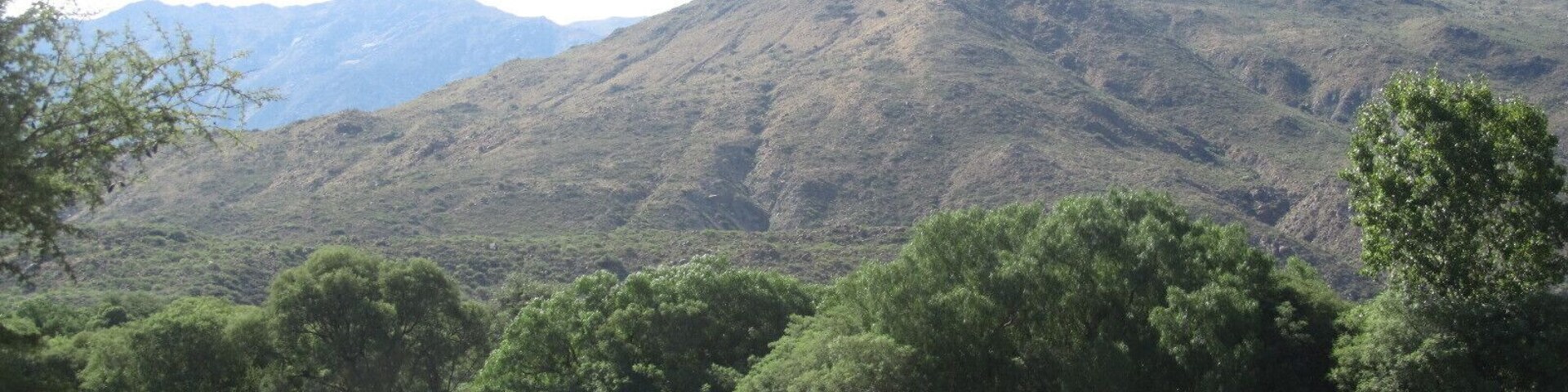 Amazing vineyard, surrounding by the mountains at Colomé. We taste great wines here. It is near Molinos, close to route 40.