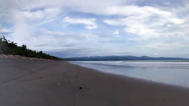 Uma praia com areal, palmeiras e montanhas ao longe, sob um céu nublado.