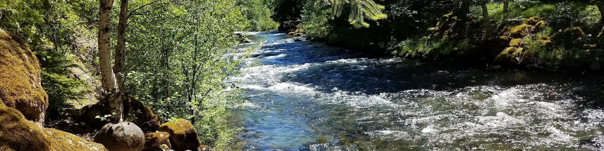 Camping at its finest. Oregon not only provides great state and national parks, but also has some great free camping if you're willing to go off the beaten path.