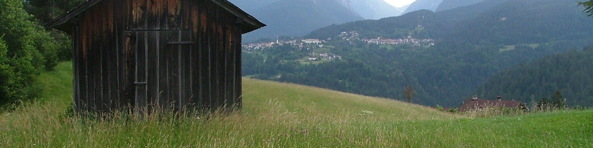Fields in Domegge di Cadore, Province of Belluno,Dolomites Veneto, Italy