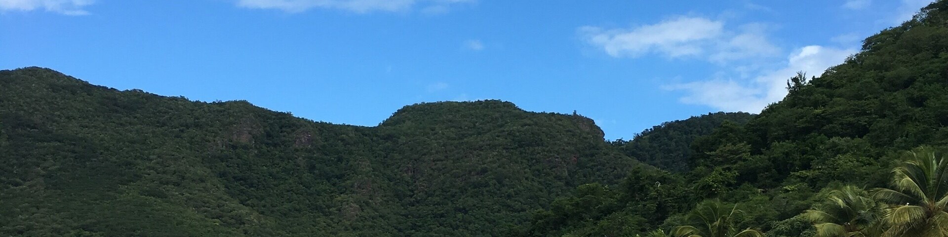 Uma cidade costeira com edifícios, palmeiras e montanhas ao fundo.