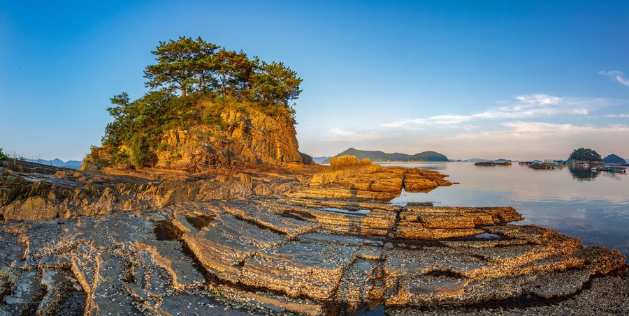 Uma costa rochosa com uma árvore imponente em um penhasco, águas calmas e ilhas ao longe.