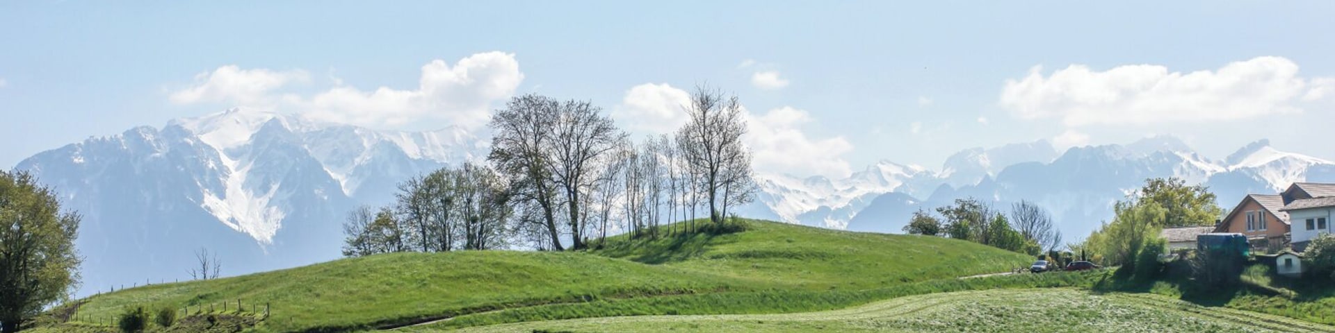 An unreal but typical scenery around Vevey - Montreux