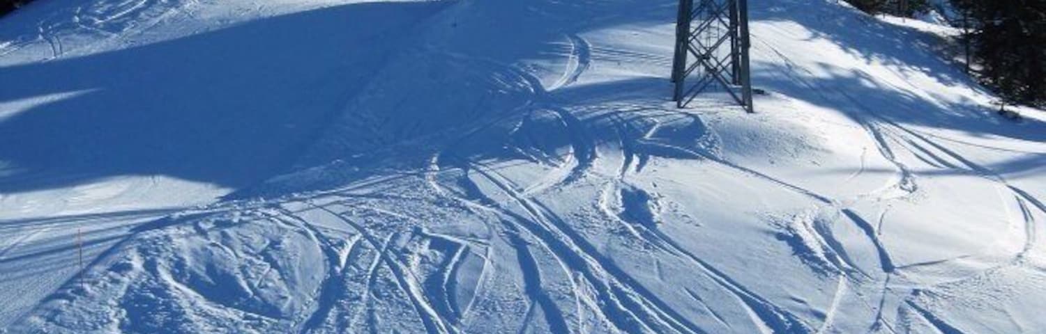 Tracks in the #Snow in #Switzerland