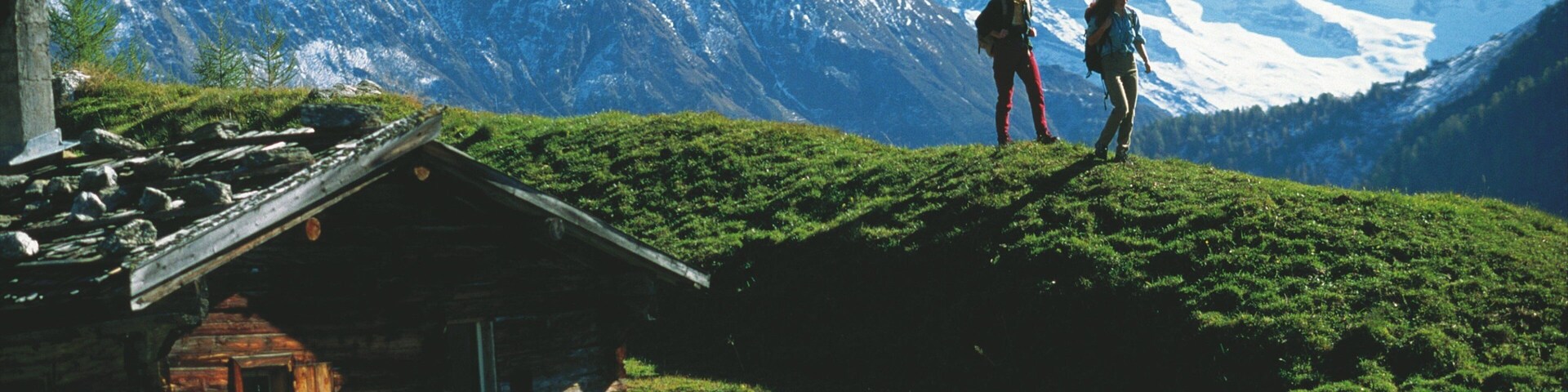 Mayrhofen featuring tranquil scenes, hiking or walking and mountains