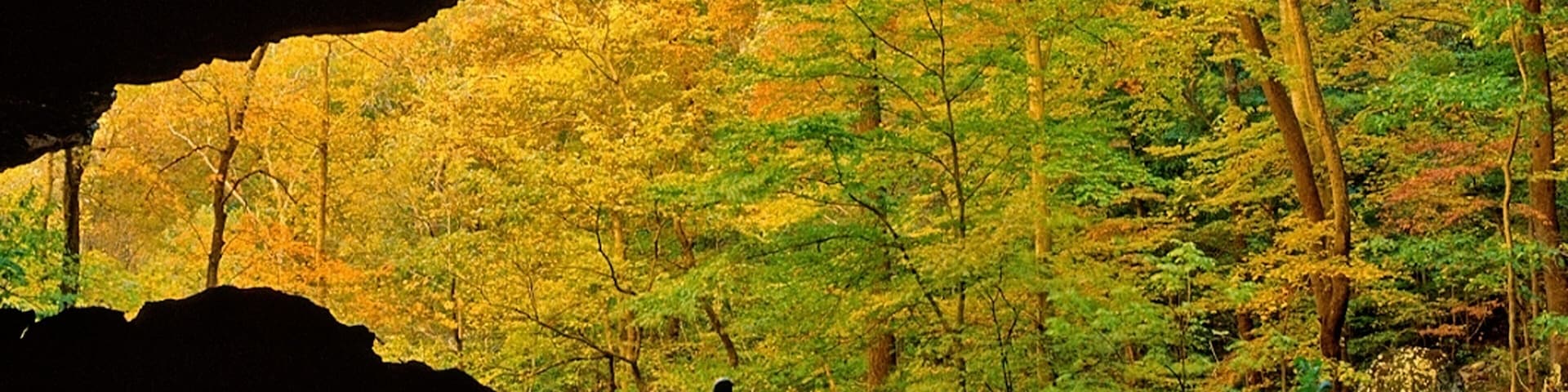 Buffalo National River