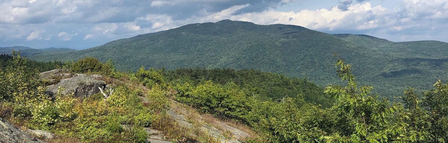 New Hampshire, tree tree trees for miles and miles. ❤️