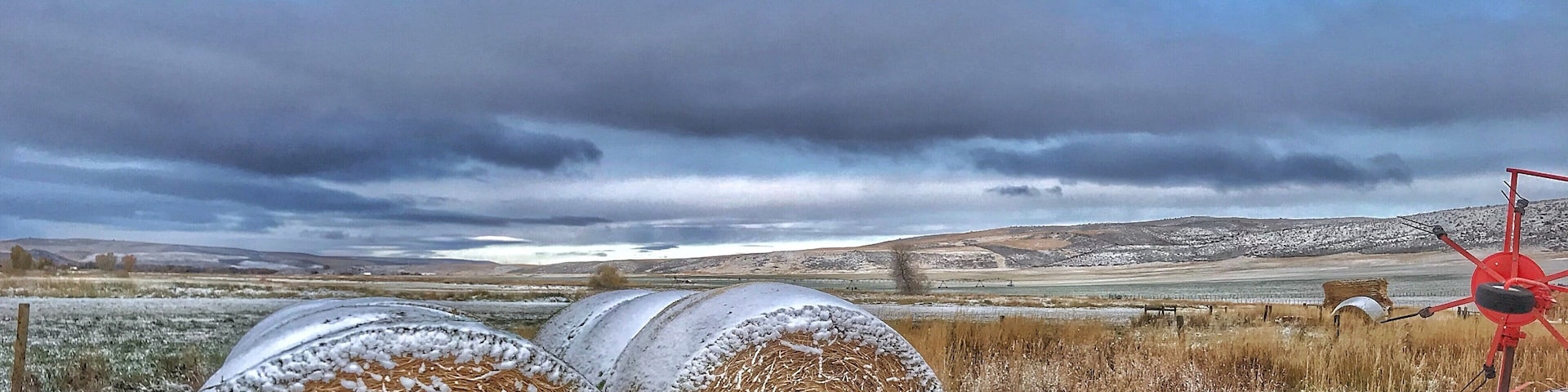 First snow of the year on the cattle farm.
#Trovember