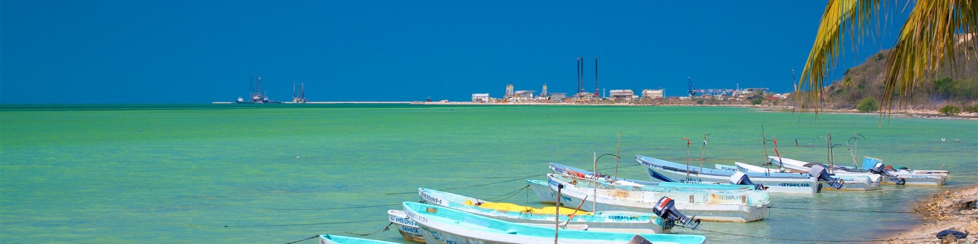 Seybaplaya showing a pebble beach, a sandy beach and tropical scenes