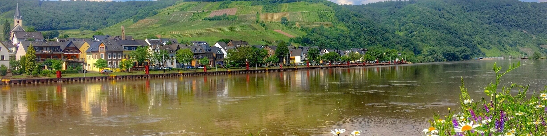 View at Ellenz-Poltersdorf along river Mosel