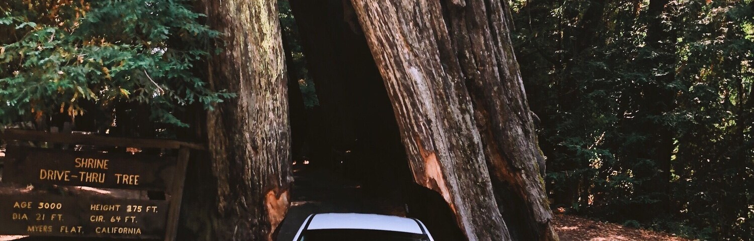 One way only .. #OnTheRoad #california