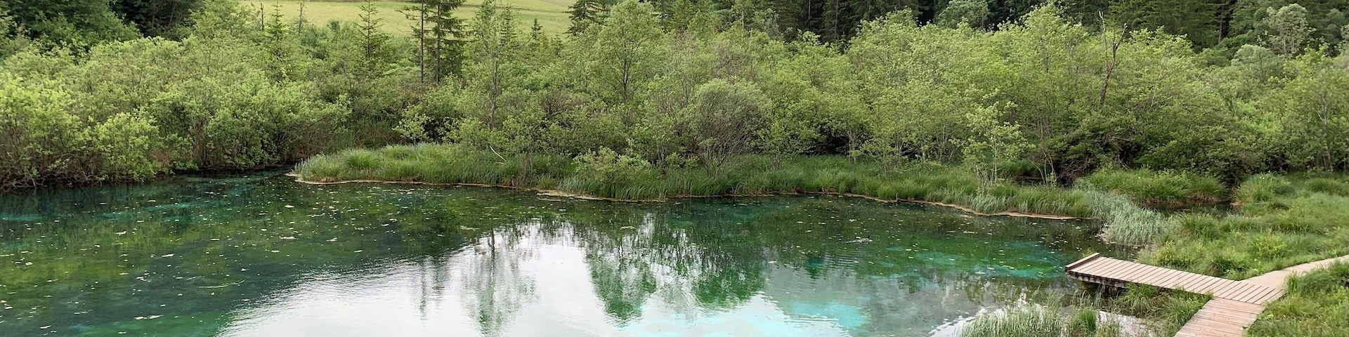 Nature Preserve Kranjska Gora Slovenia