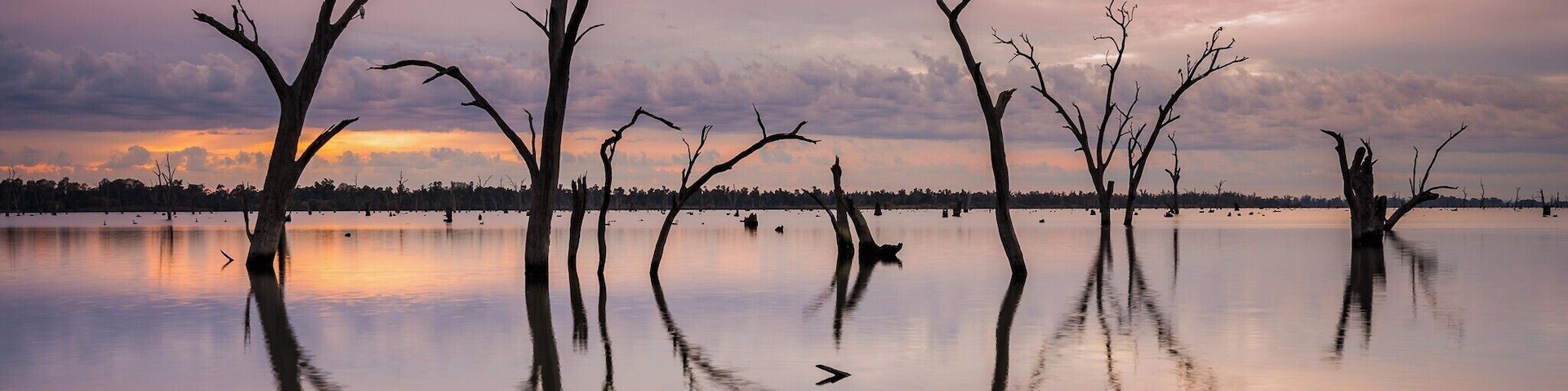 Low cloud didn't allow for a full sunrise colour show, but loved the feel of the scene anyway :)
#BVStrove
