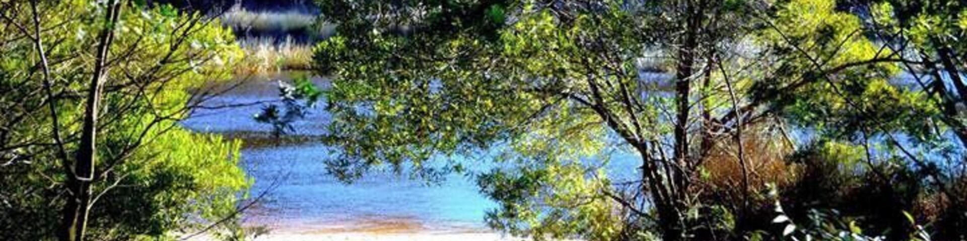 Lovely spot to stop and have lunch. (Backdrop Lake Couridjah - Thirlmere Lakes)