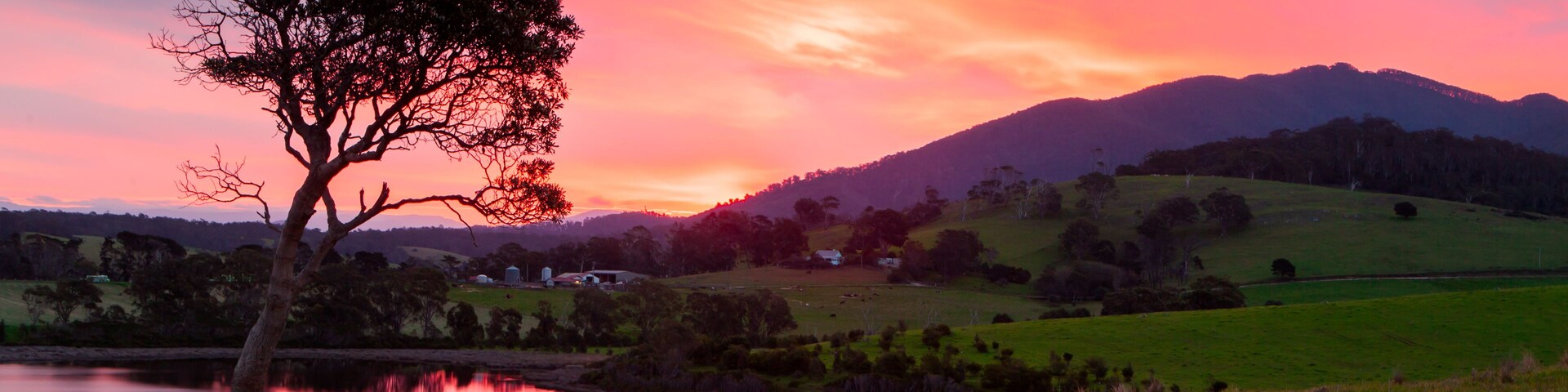 Árvore à beira de um lago sob um céu de pôr do sol.