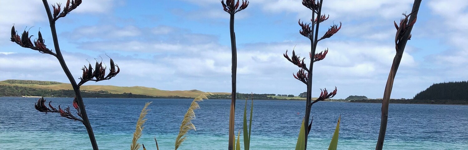 Paisagem costeira com água azul cristalina, uma praia arenosa e plantas altas com flores vermelhas.