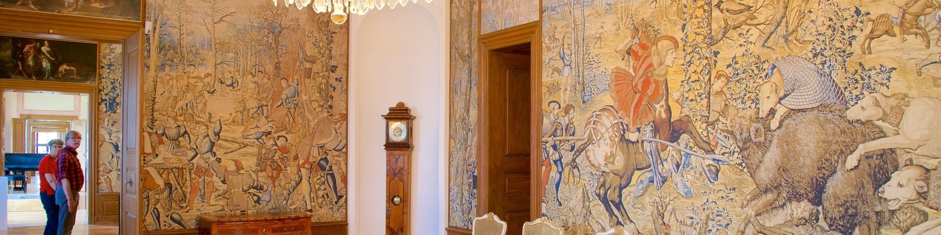 Meersburg featuring interior views and art