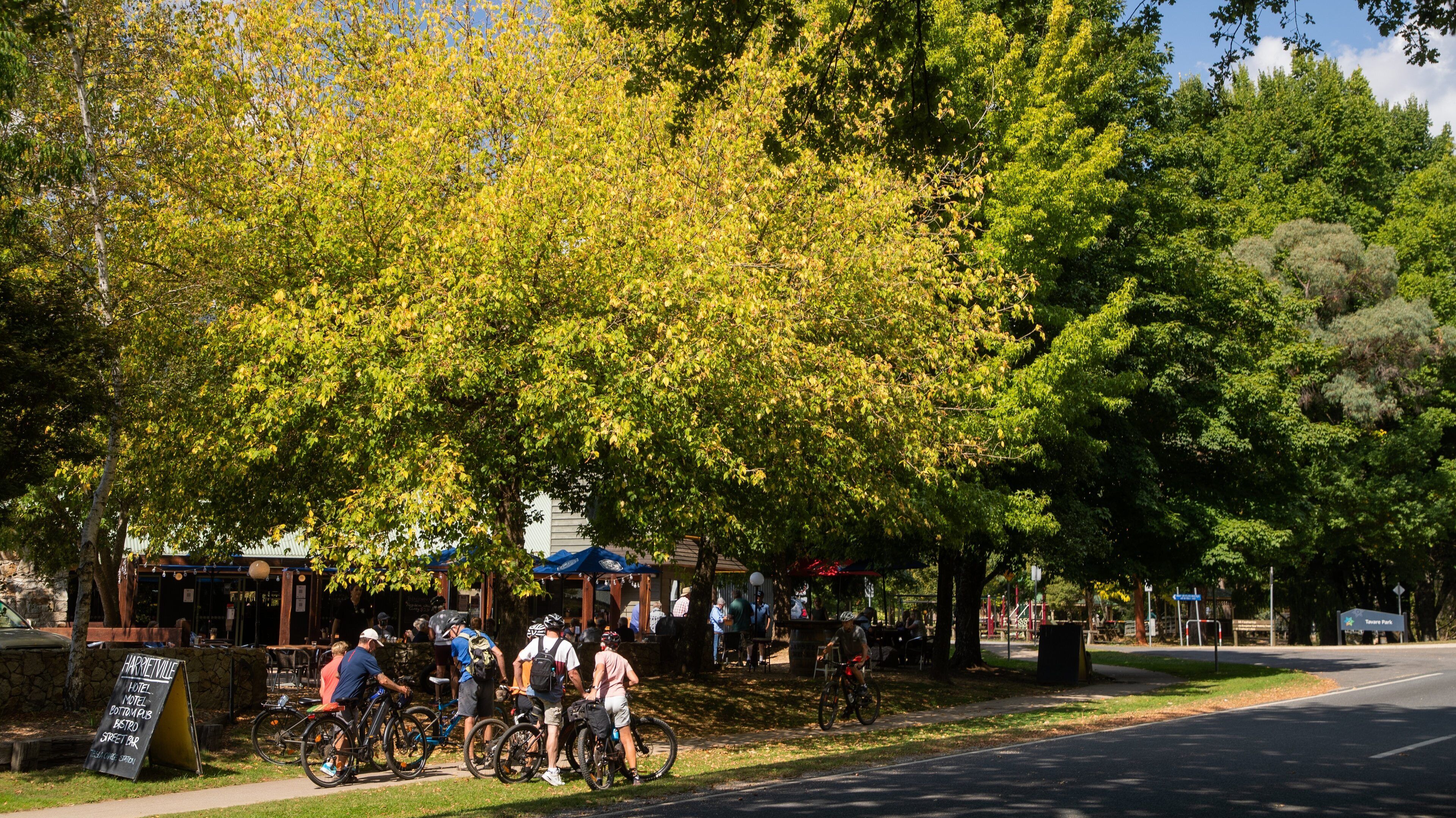 Um parque com árvores, uma rua e pessoas andando de bicicleta.
