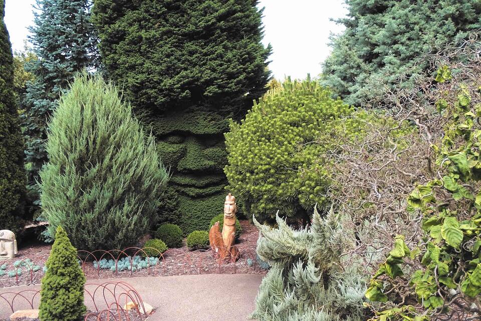 Jardim com diferentes tipos de árvores e uma escultura.