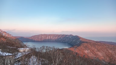 Paisagem montanhosa com um lago e árvores cobertas de neve.