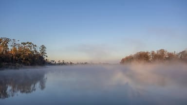 Um lago calmo com névoa e árvores refletidas na superfície da água.
