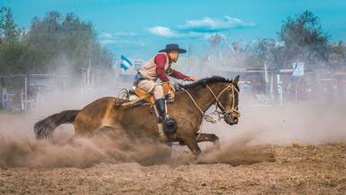 Uma pessoa a cavalo em uma arena empoeirada, com árvores e um céu claro ao fundo.