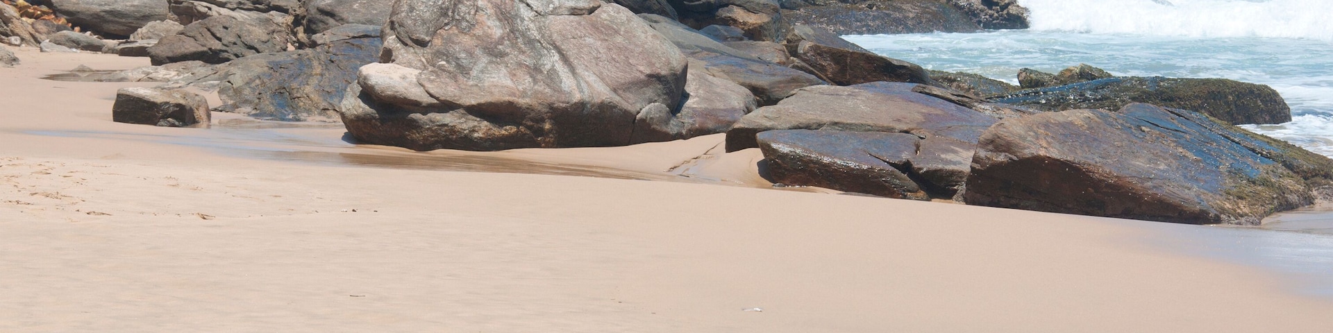 Uma praia arenosa com pedras grandes e uma palmeira.