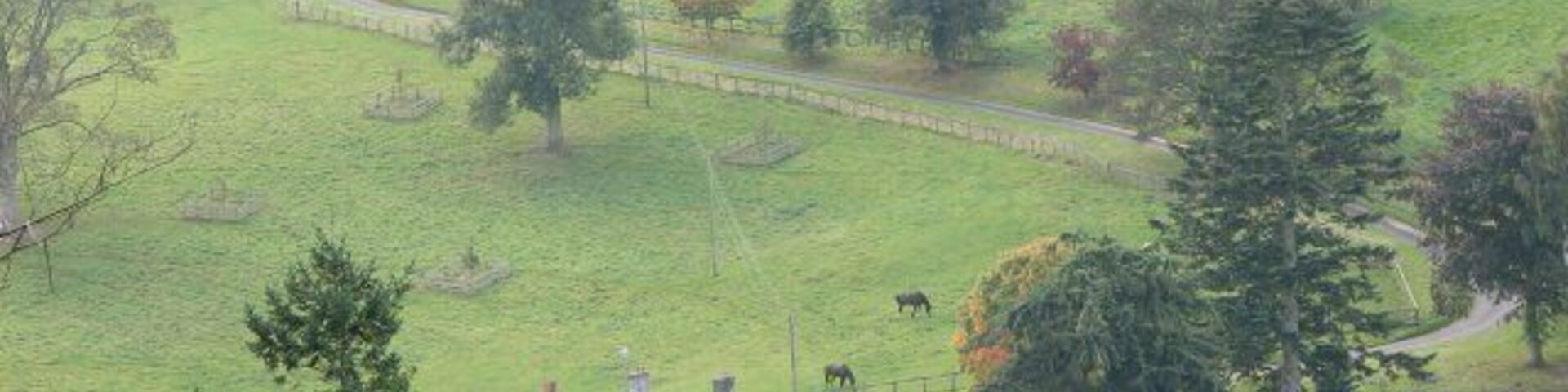 Leadervale House and driveway A curving driveway leads downhill from a gatehouse to Leadervale House, by the Leader Water. The gatehouse may originally have belonged to the nearby, larger Carolside House rather than to Leadervale.
