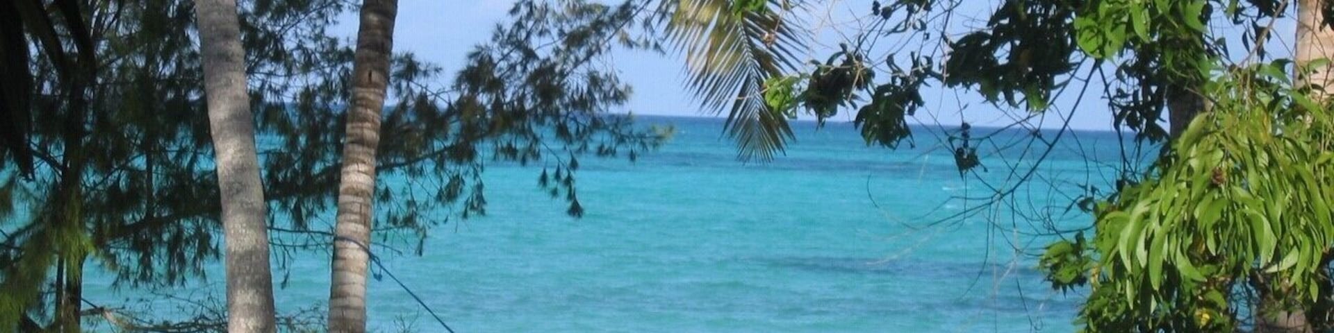 No safari trip to Tanzania is complete without a short hop to Zanzibar and the great beaches to relax. I actually proposed to my wife on this beach - not sure how useful this information is to fellow travellers, but holds a lot of memories for me... #lifeatexpedia #beach #nature