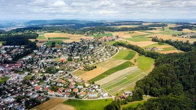Paisagem rural com uma pequena aldeia, campos e montanhas ao longe.