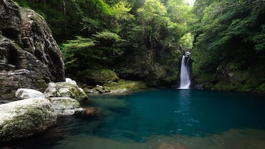 Uma piscina azul límpida rodeada por pedras e uma floresta verde exuberante.