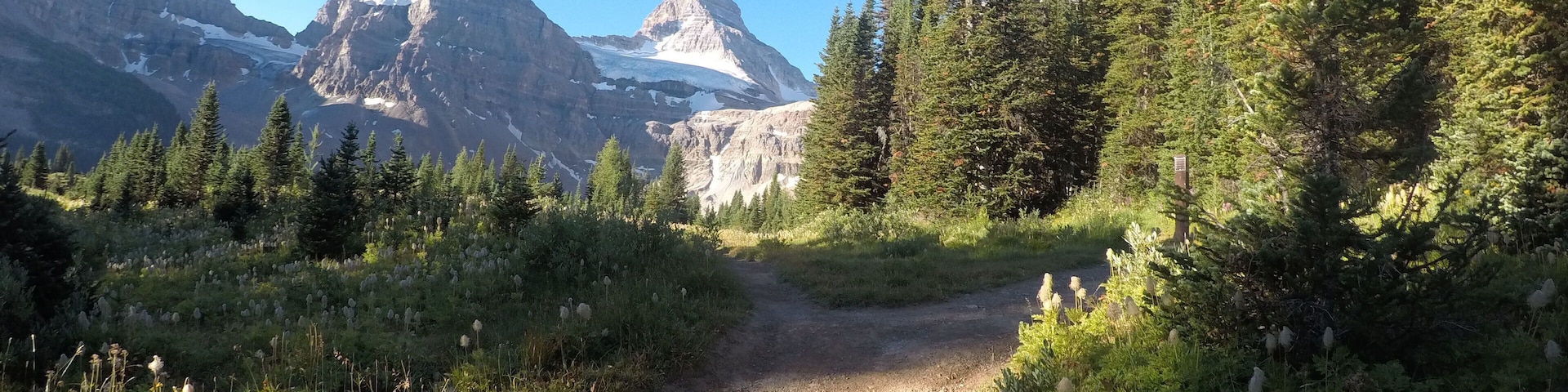 Accessible only by helicopter or hiking 27km into the backcountry, Assinniboine has breathtaking views and some of the best hiking in the Canadian Rockies!