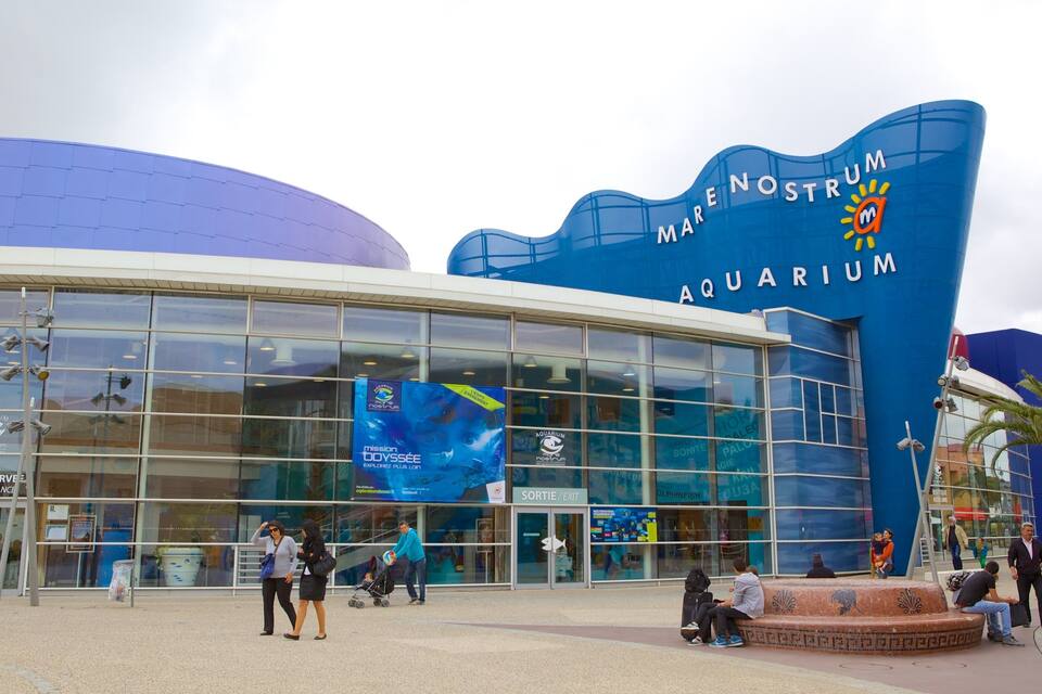 Exterior do Aquário Mare Nostrum, com uma grande entrada azul e janelas de vidro.