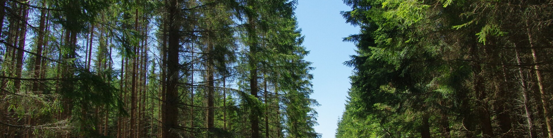 8.8.16 Nova Pec to Stozec